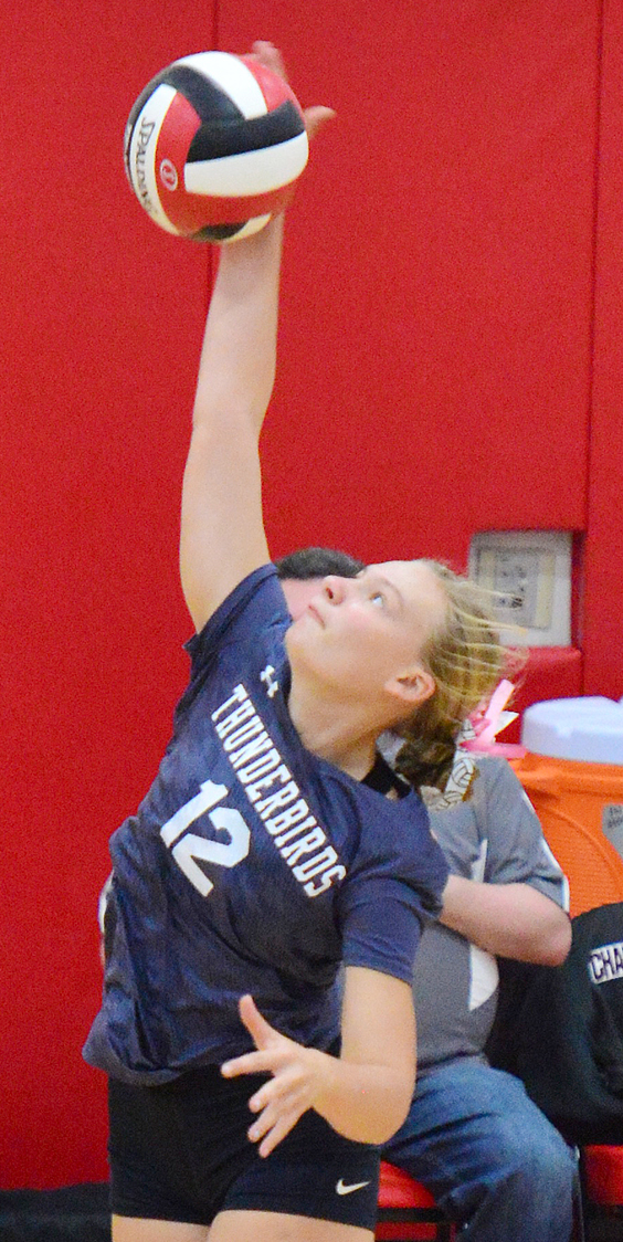 Thunderbirds Gain Measure Of Revenge Vs. Dragons | News, Sports, Jobs ...